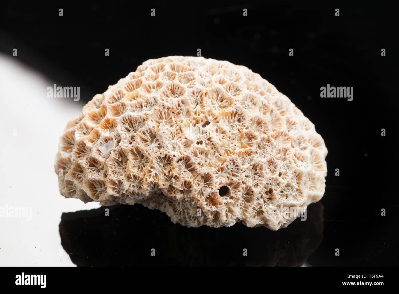 Stone small piece of rock hi-res stock photography and images - Alamy