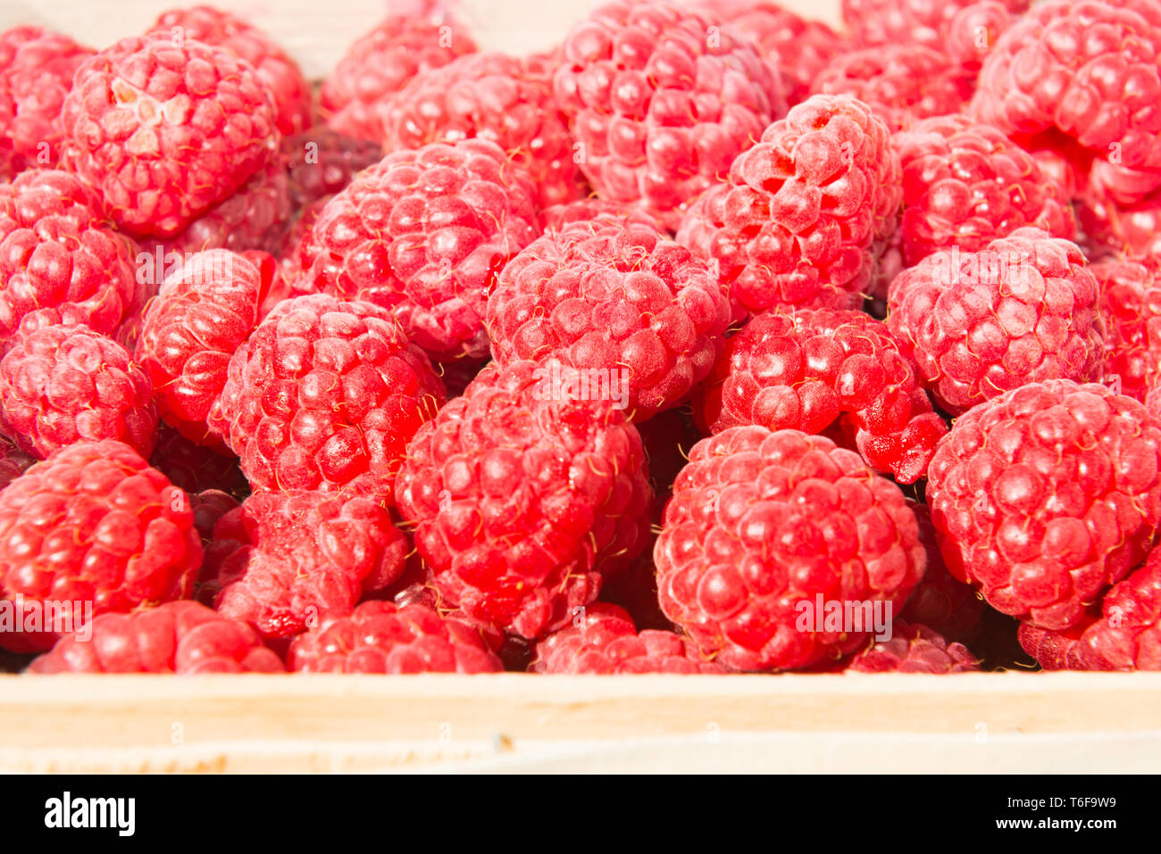 Raspberries in nature hi-res stock photography and images - Alamy