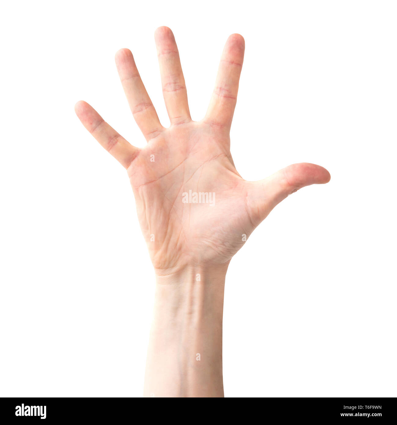 Woman open hand Stock Photo - Alamy