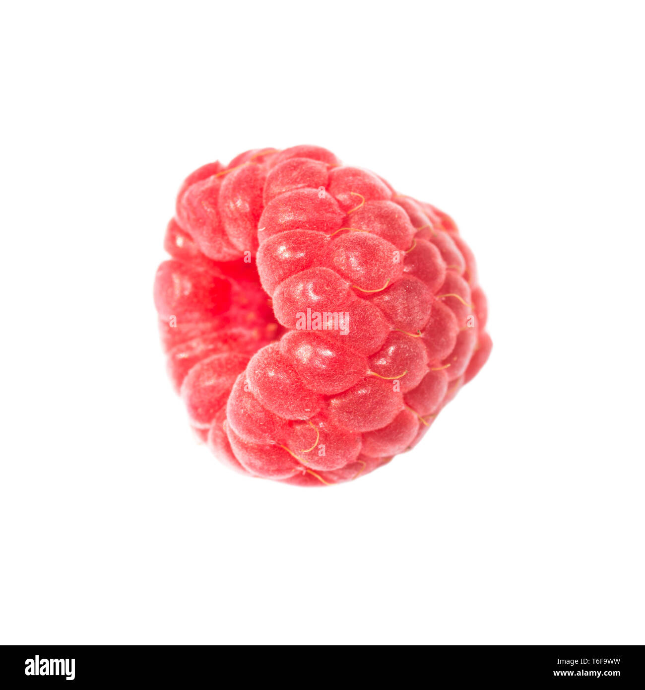 One raspberry isolated on white Stock Photo - Alamy
