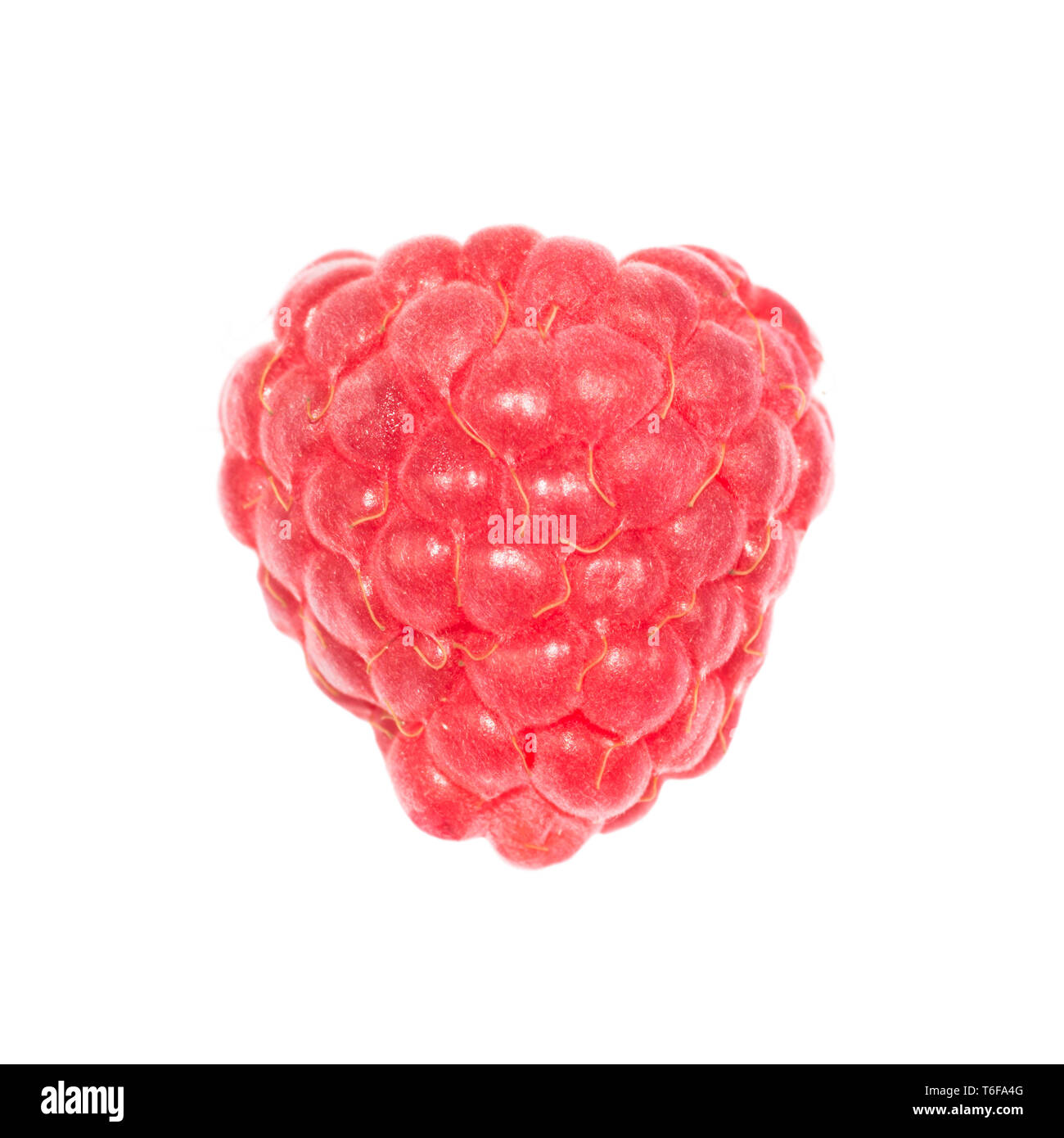 One raspberry isolated on white Stock Photo - Alamy