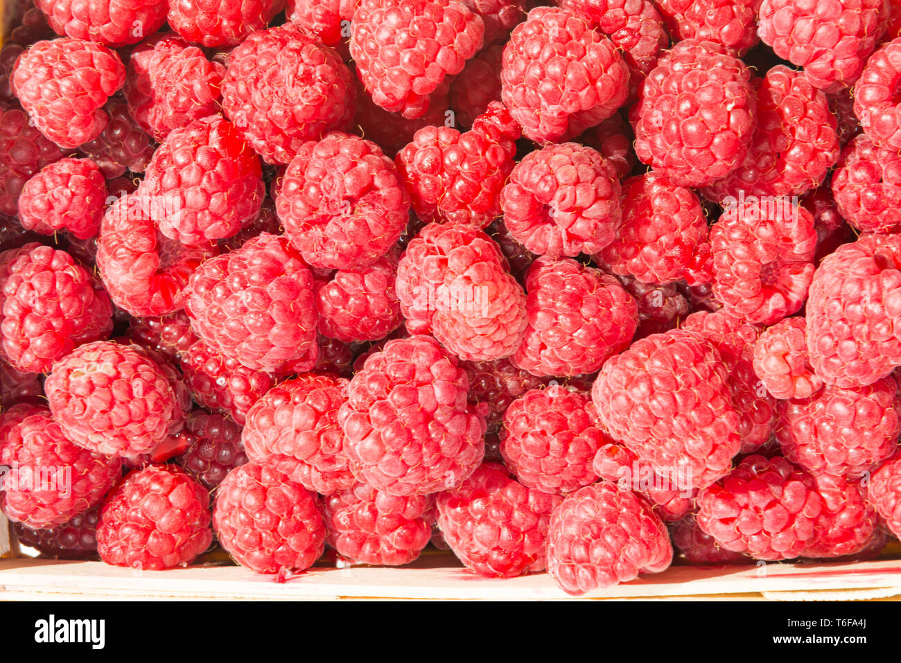 Natural organic raspberries in hi-res stock photography and images - Alamy