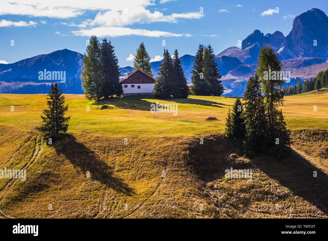 Fabulous tree hi-res stock photography and images - Alamy