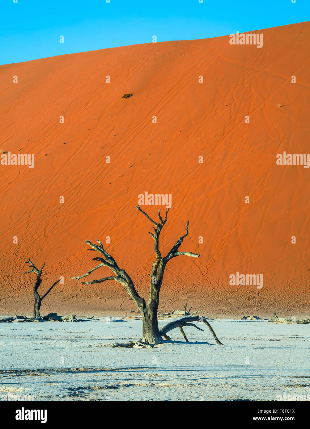 Ecotourism in africa hi-res stock photography and images - Alamy