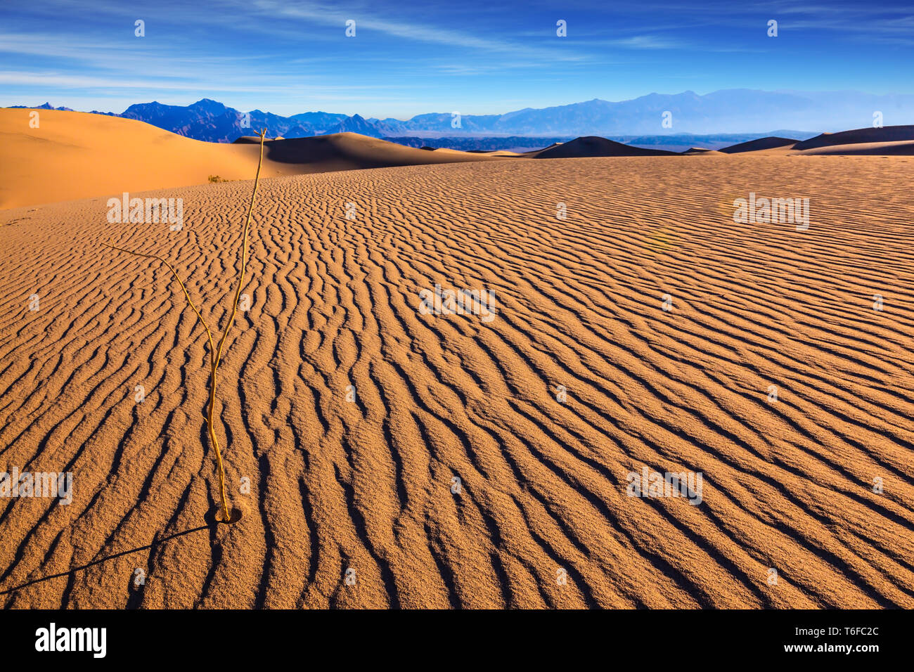 Sunny morning shadow hi-res stock photography and images - Alamy