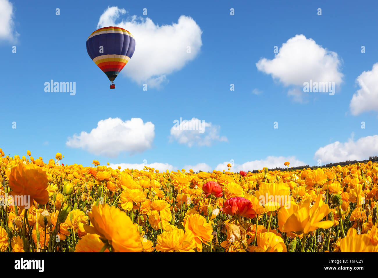 Balloon flies hi-res stock photography and images - Alamy