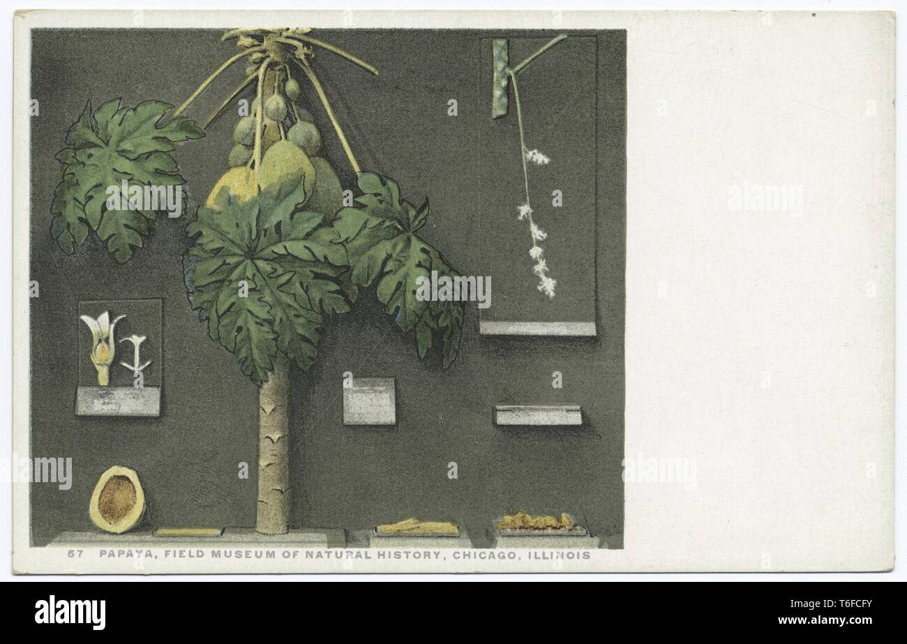 Chicago public library history hi-res stock photography and images - Alamy