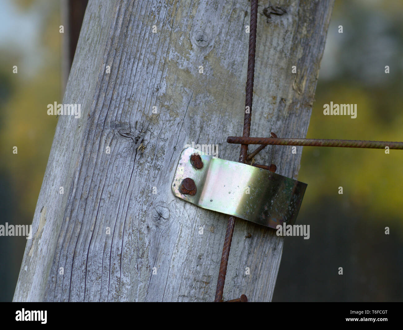 A metal clamp and rusty nails on a piece of wood Stock Photo - Alamy