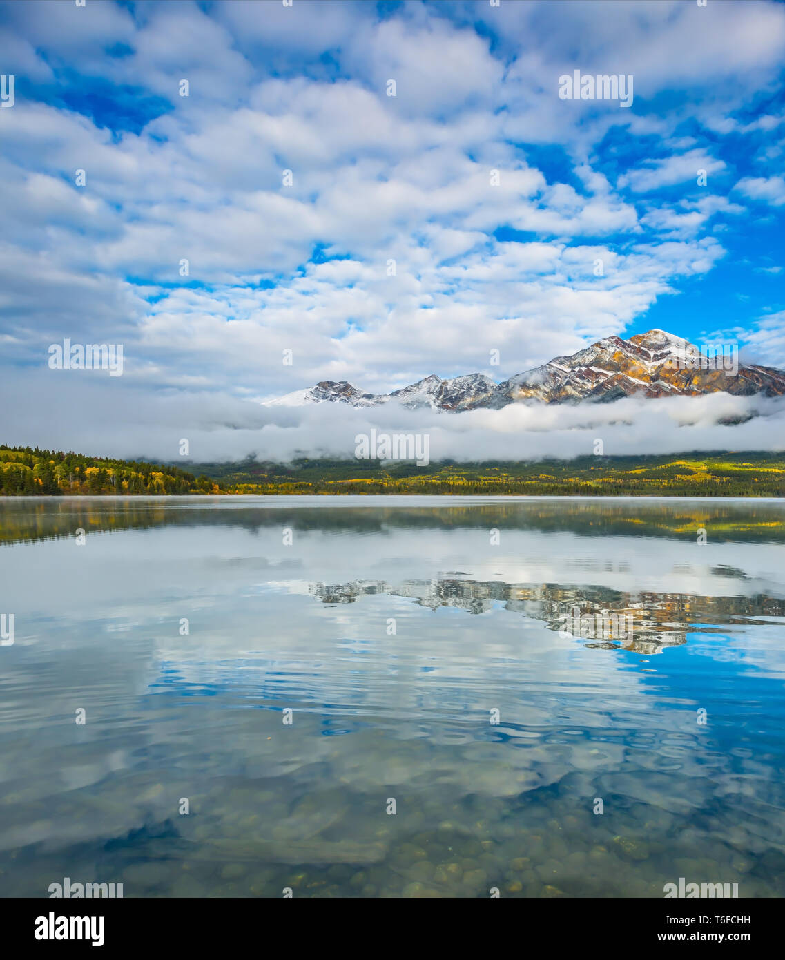 Cold autumn hi-res stock photography and images - Alamy