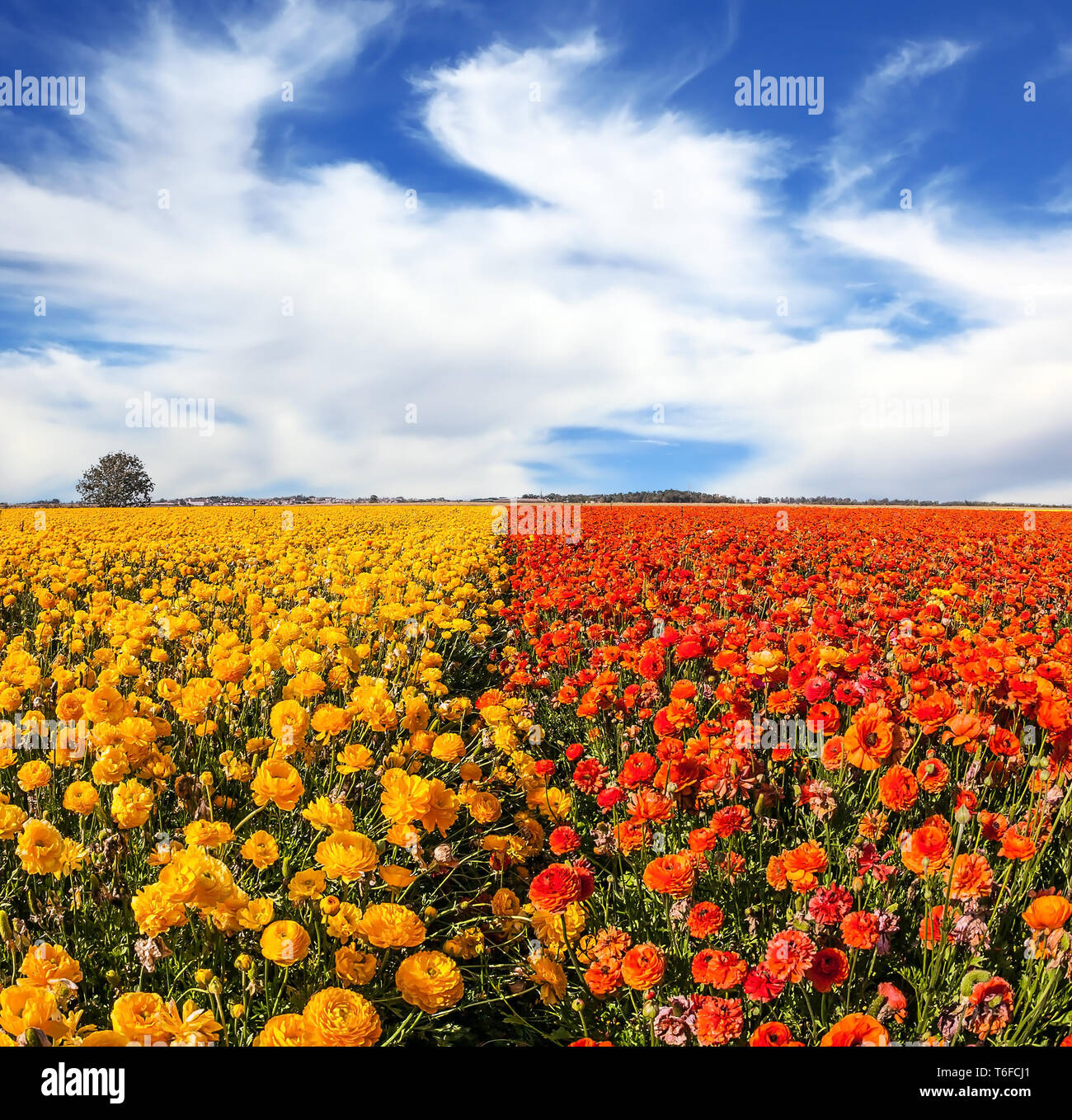 Strong scene hi-res stock photography and images - Alamy