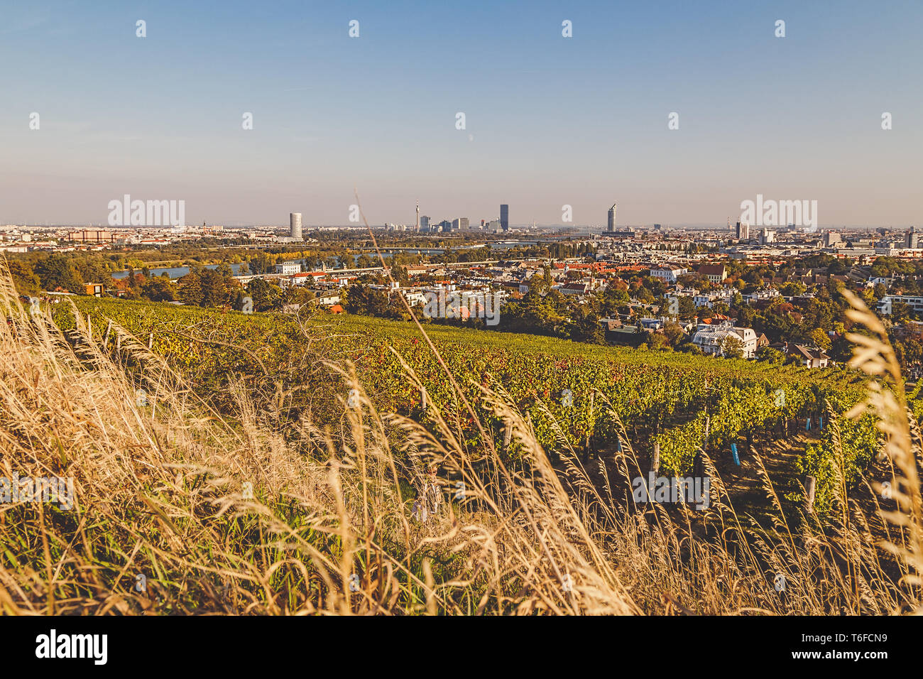 View Over Vienna Stock Photos & View Over Vienna Stock Images - Alamy