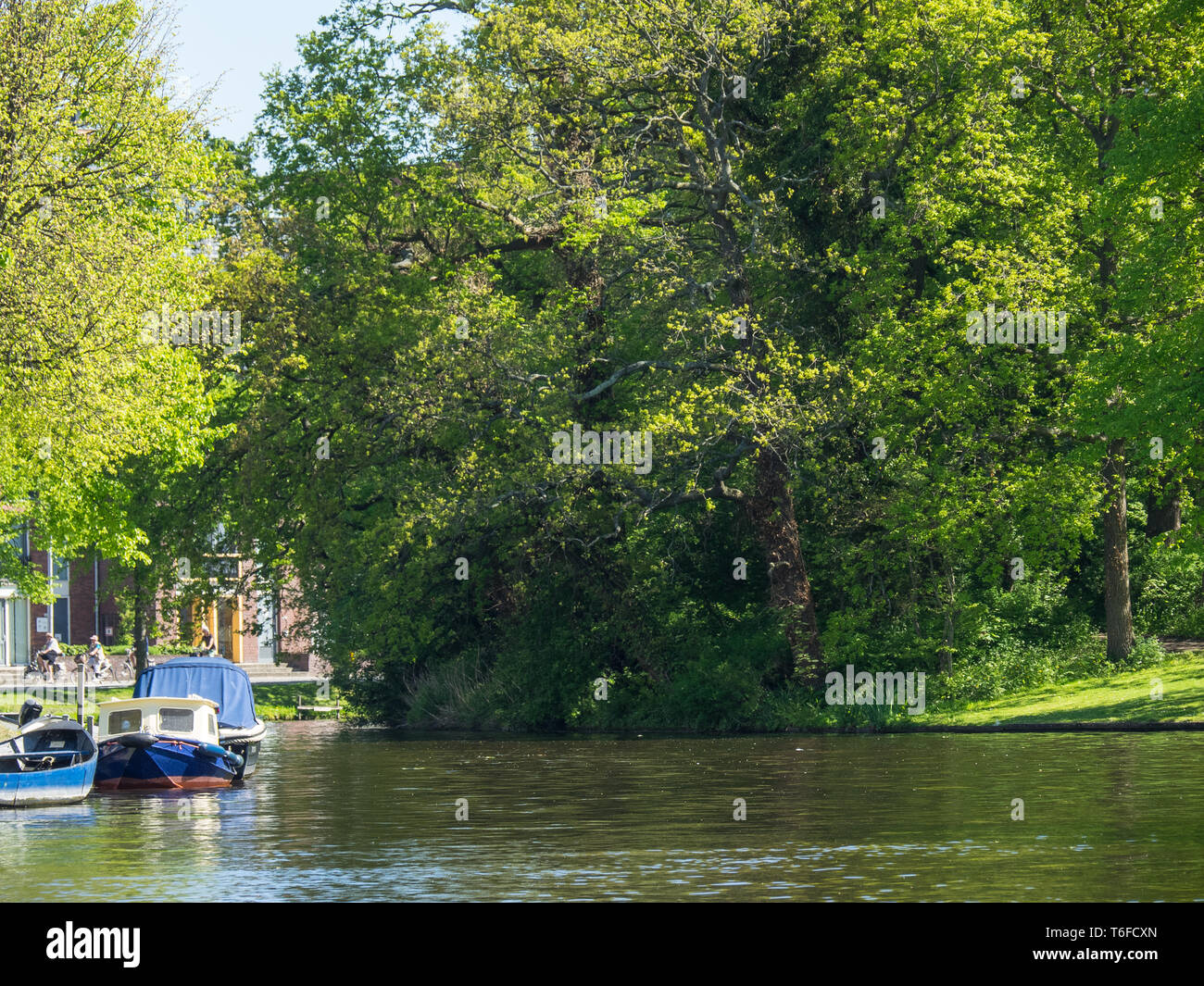 Green tree water tower hi-res stock photography and images - Alamy