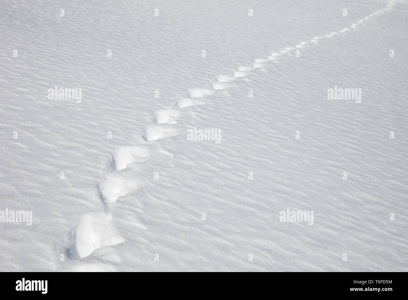 Mark snow hi-res stock photography and images - Alamy