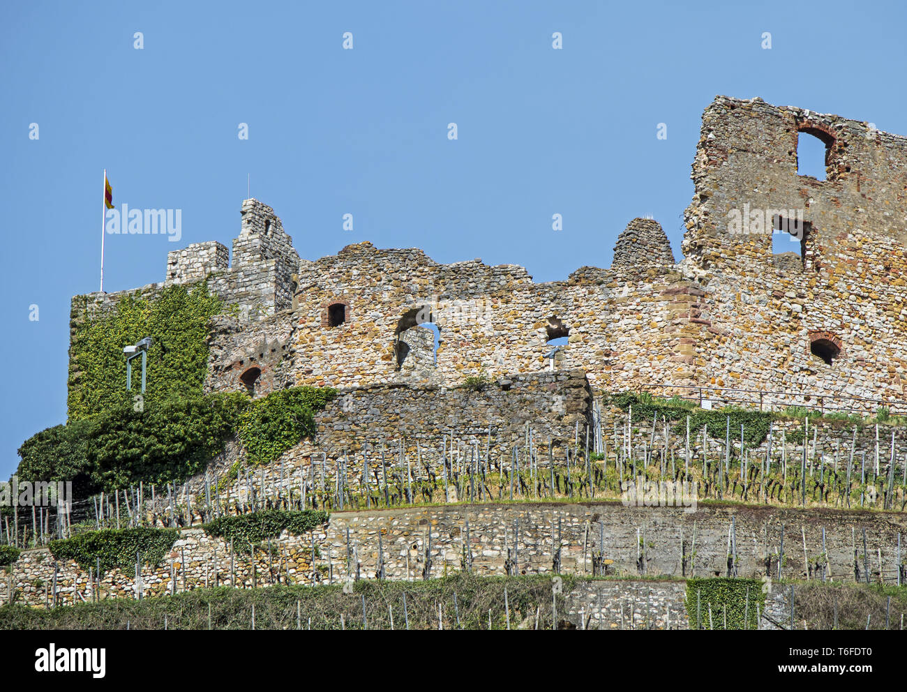 Staufen castle ruin hi-res stock photography and images - Alamy