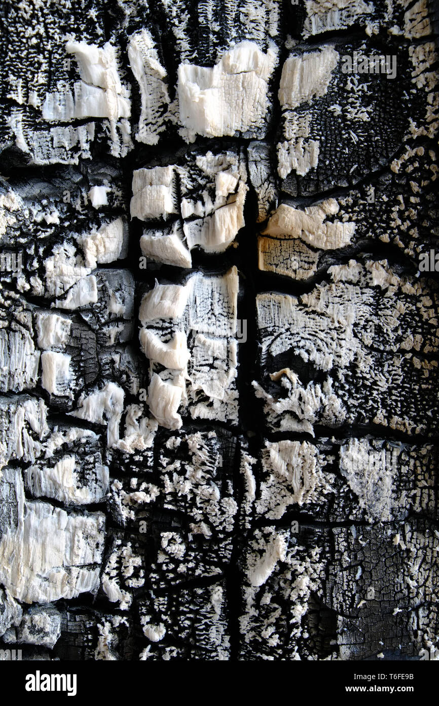 Burnt wood hi-res stock photography and images - Alamy