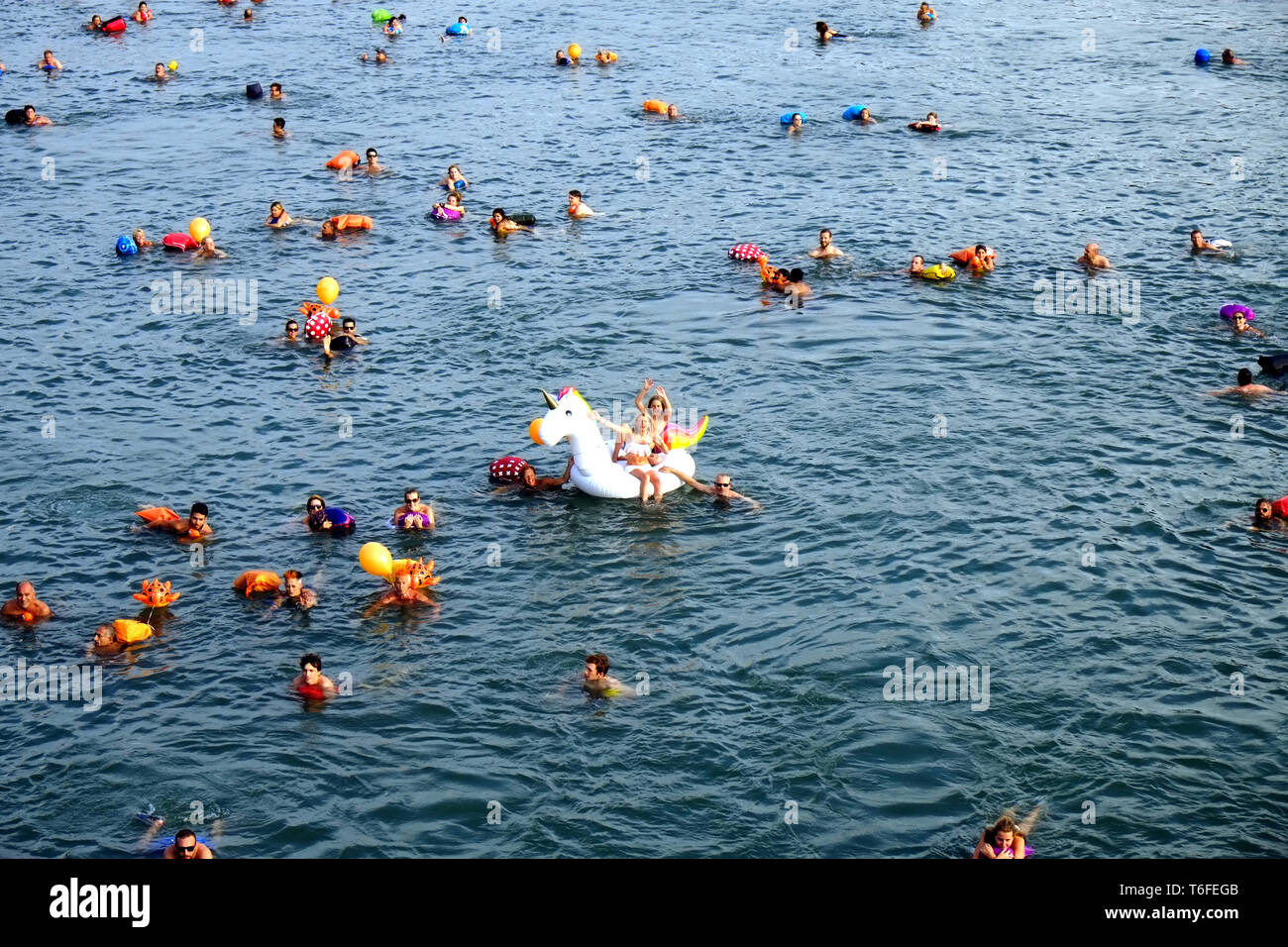 Basel Rhine Swimming Stock Photo - Alamy