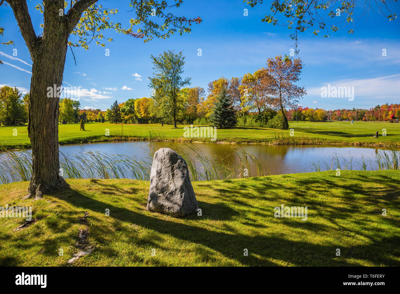 Trees lawn grass hi-res stock photography and images - Alamy
