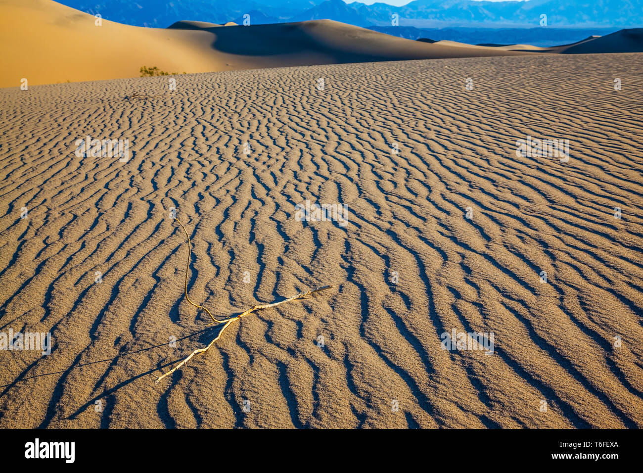Bright sunny morning Stock Photo - Alamy