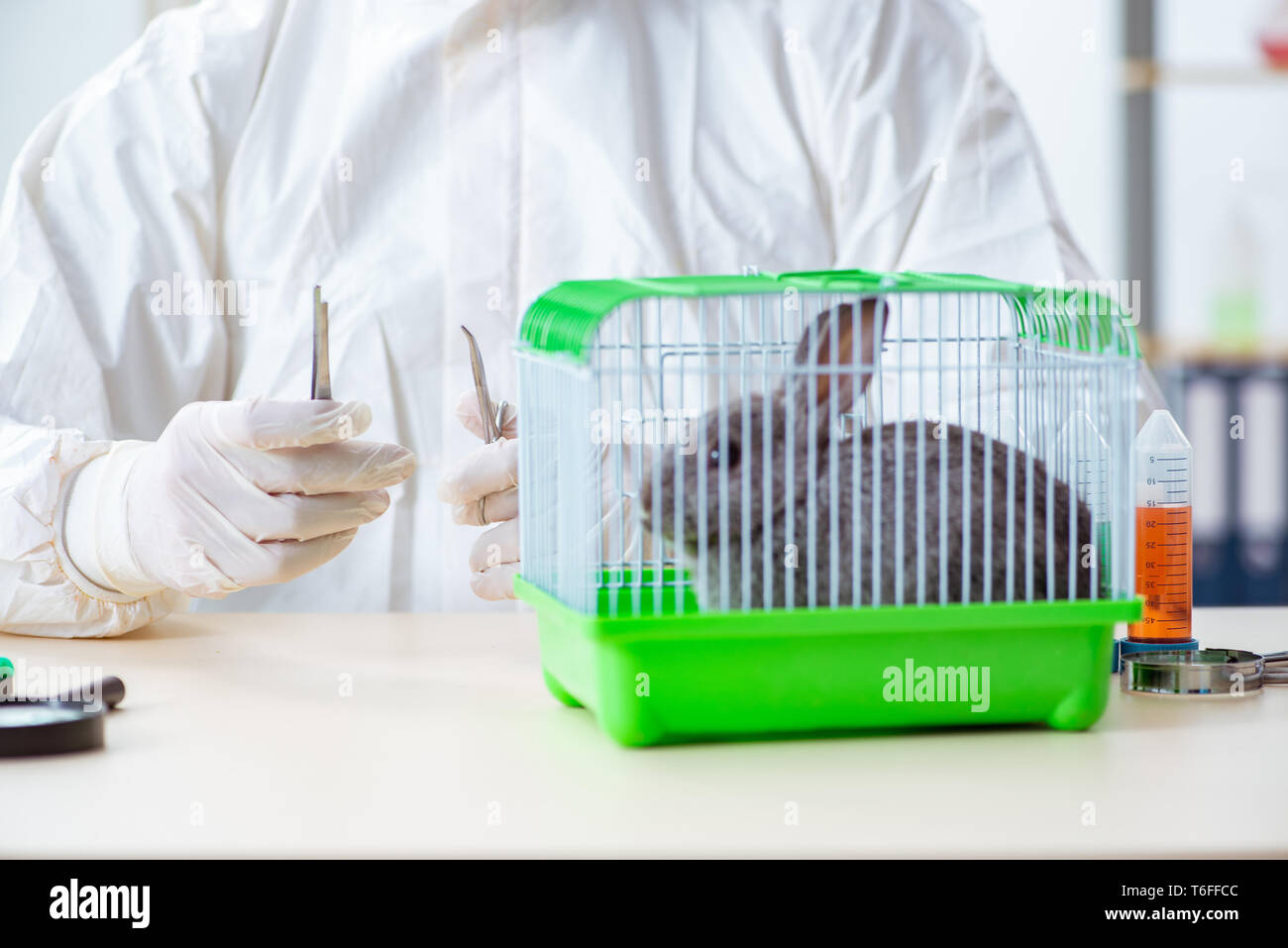 Scientist experimenting on animals hi-res stock photography and images ...