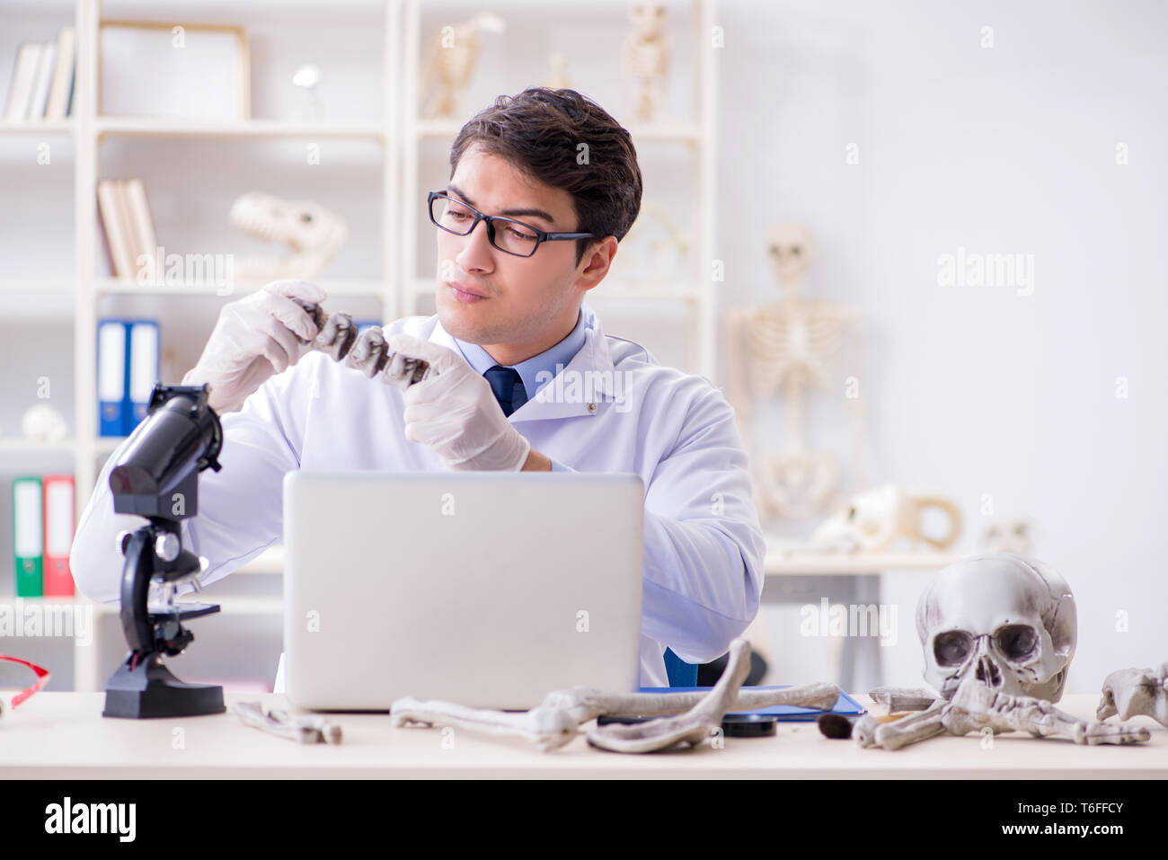 Professor studying human skeleton in lab Stock Photo - Alamy