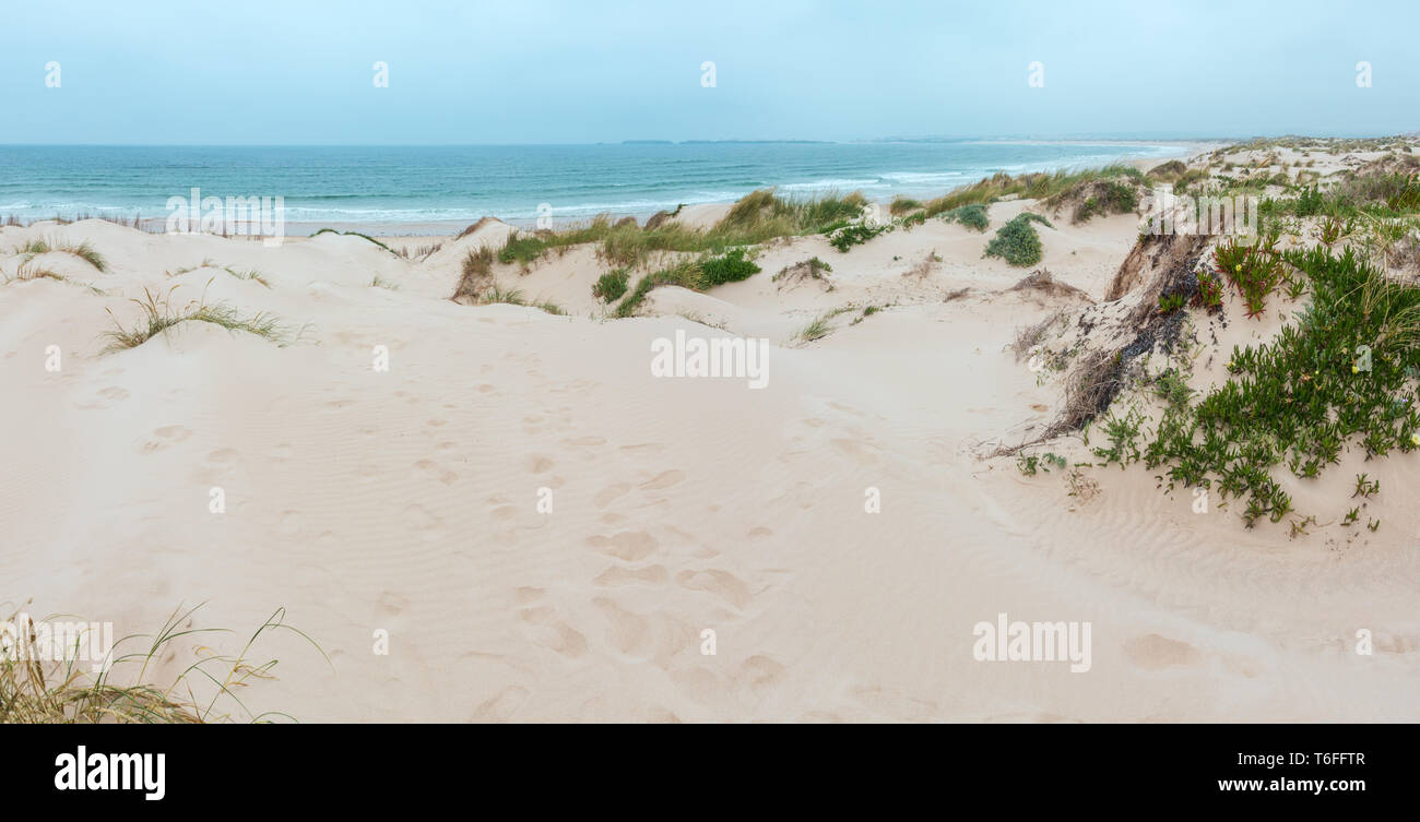 Alfarroba hi-res stock photography and images - Alamy