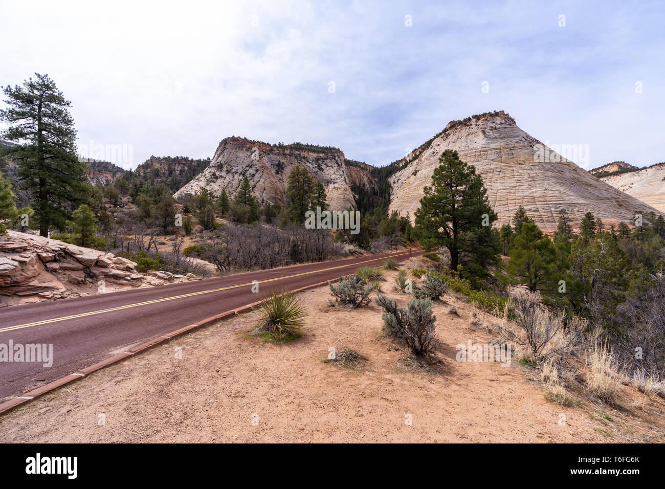 Checkerboard Mesa at Zion national park Stock Photo - Alamy