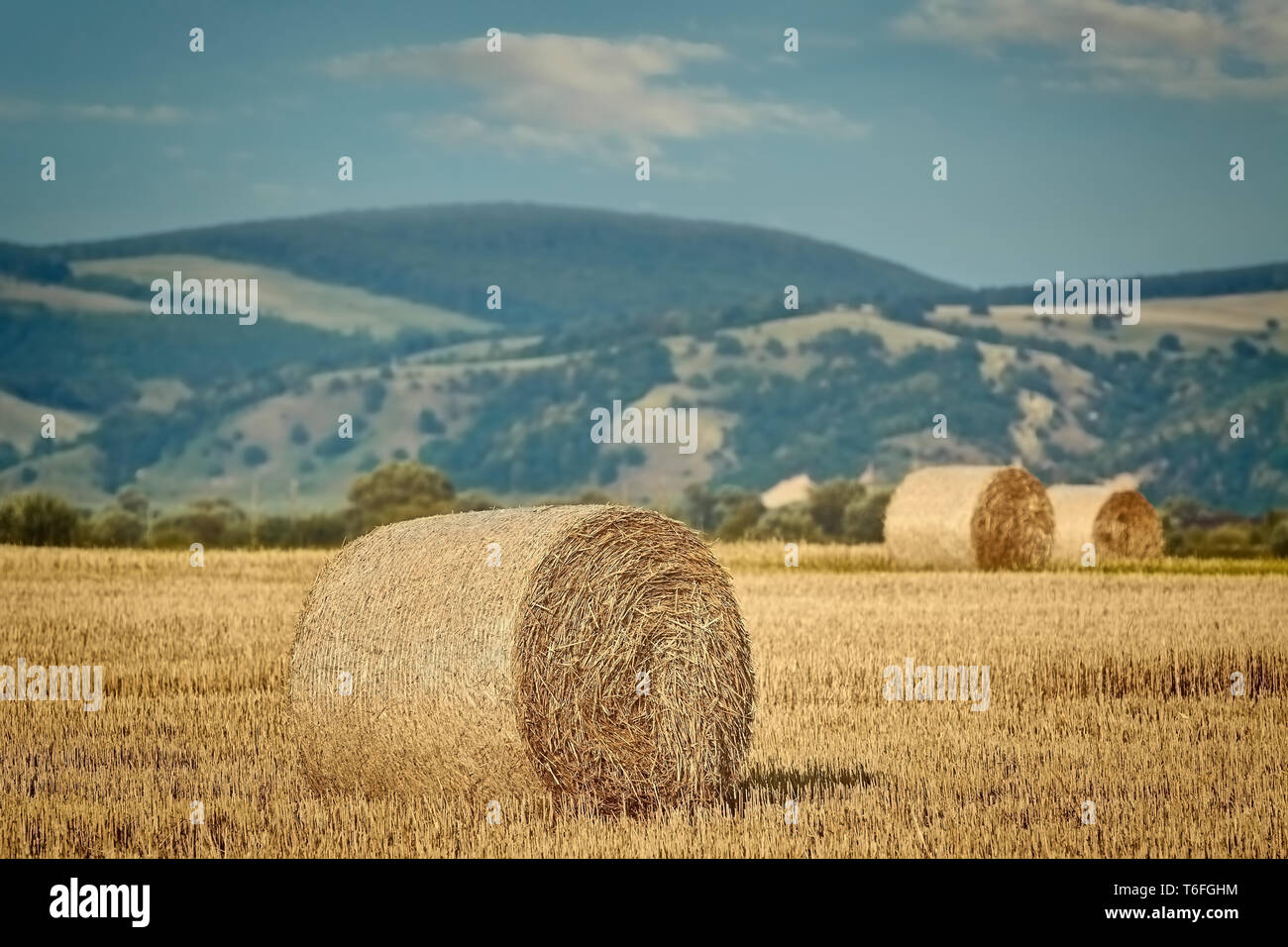 Thatched haystacks hi-res stock photography and images - Alamy