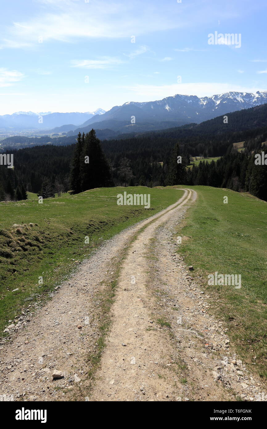 hiking path in the alps Stock Photo - Alamy