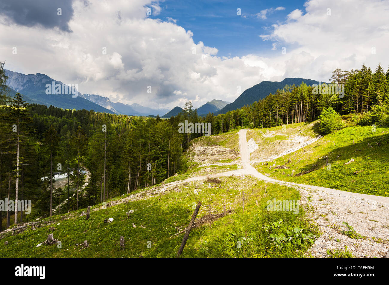 Austrian landscape with forests Stock Photo - Alamy