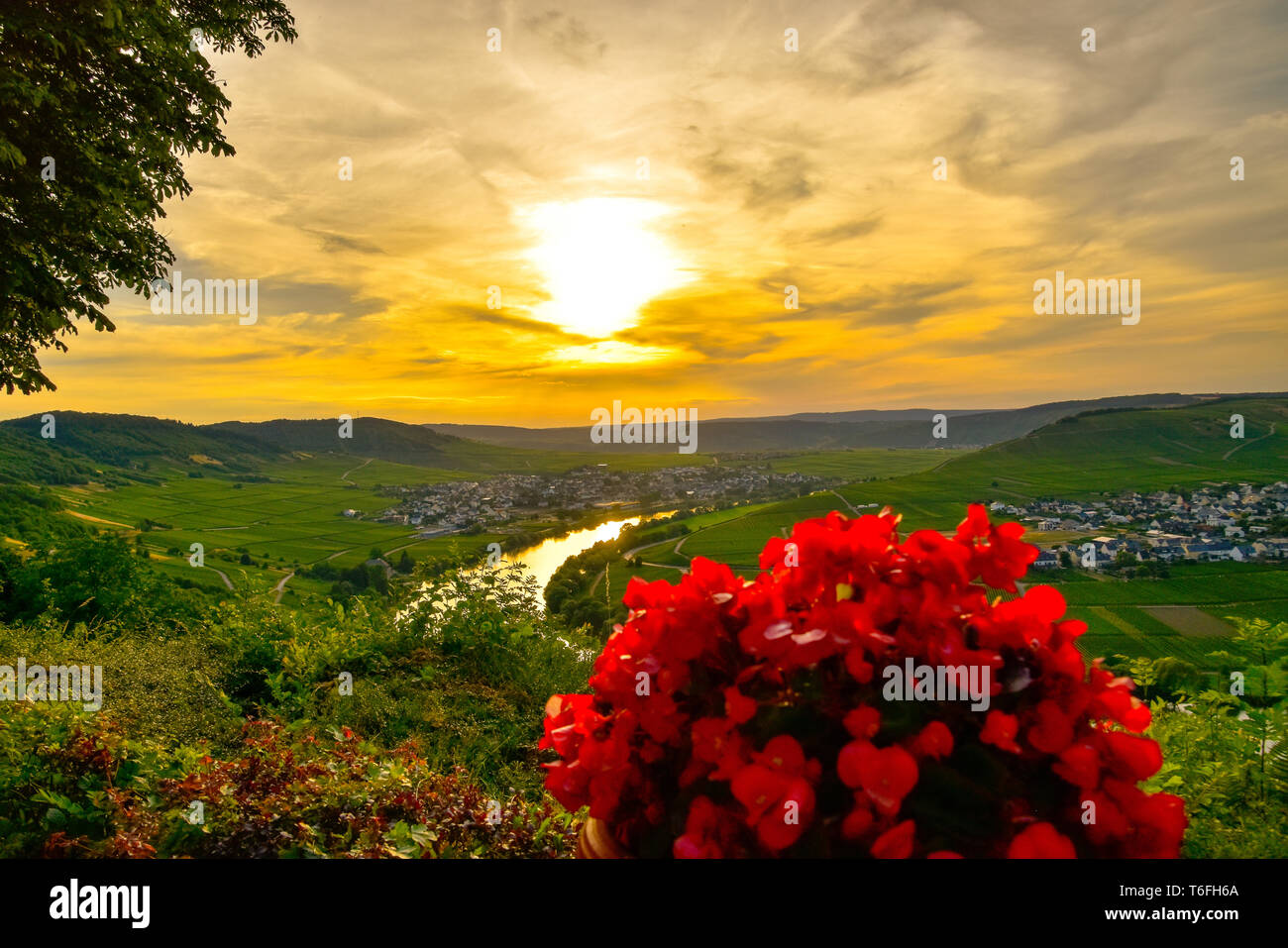 Leiwen architecture hi-res stock photography and images - Alamy