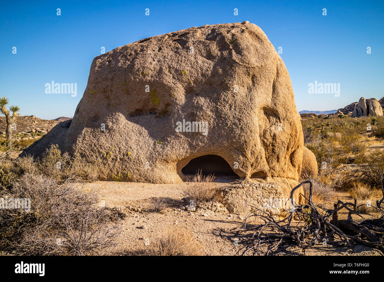 Tree and rocks hi-res stock photography and images - Alamy