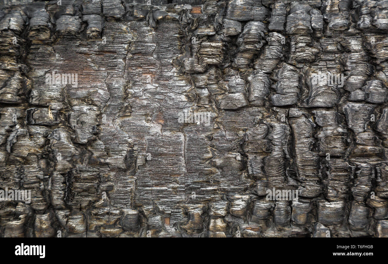 Burn with shame hi-res stock photography and images - Alamy