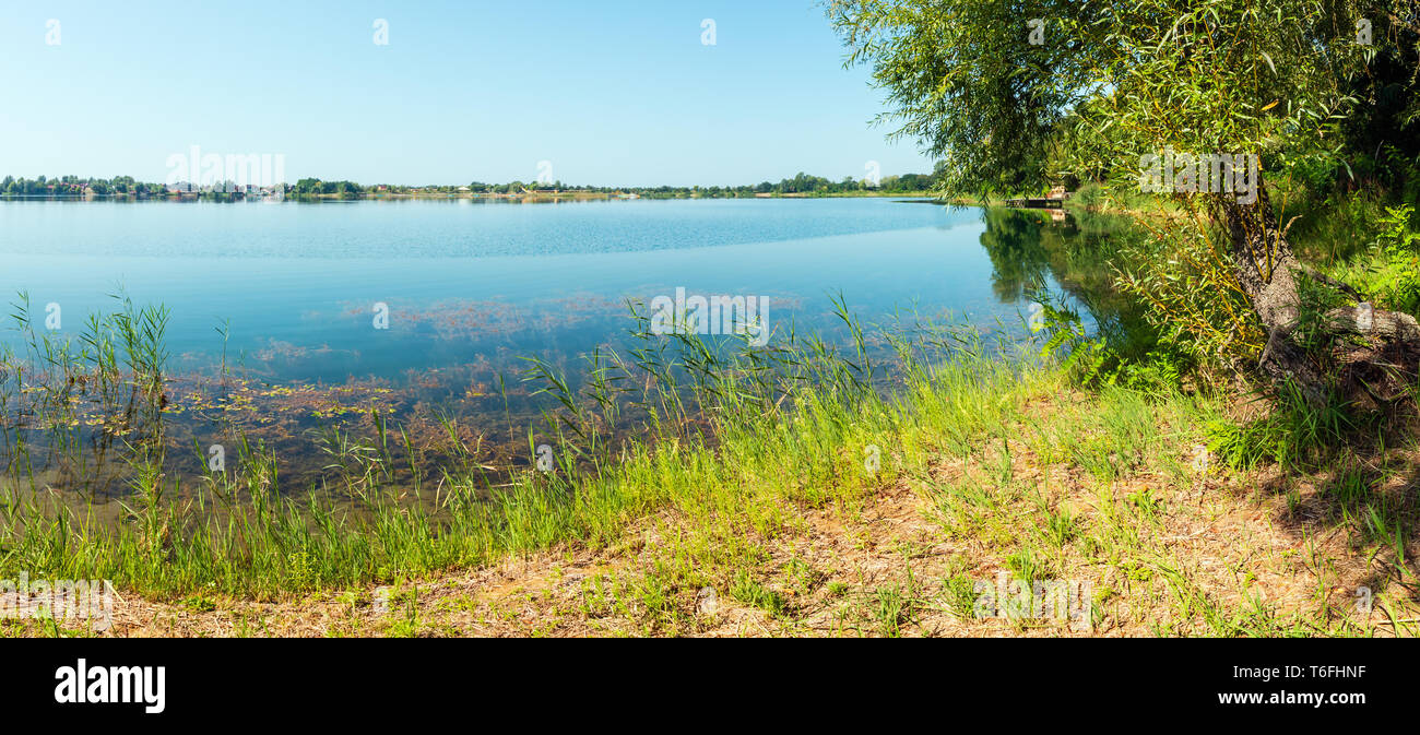Summer lake calm rushy shore Stock Photo - Alamy