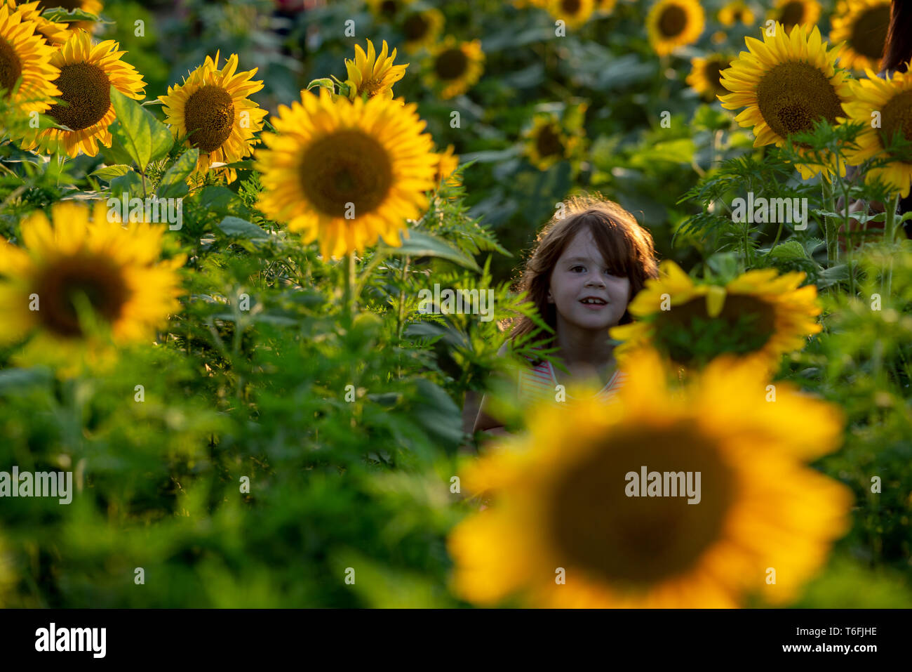 Screaming flower hi-res stock photography and images - Alamy