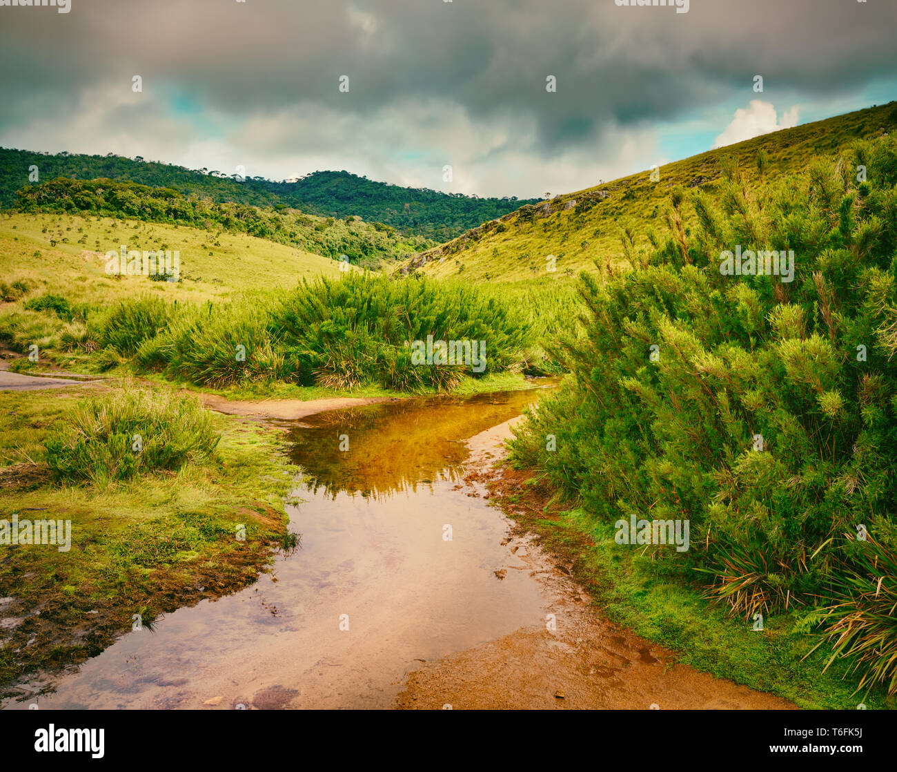 Horton plains hi-res stock photography and images - Alamy