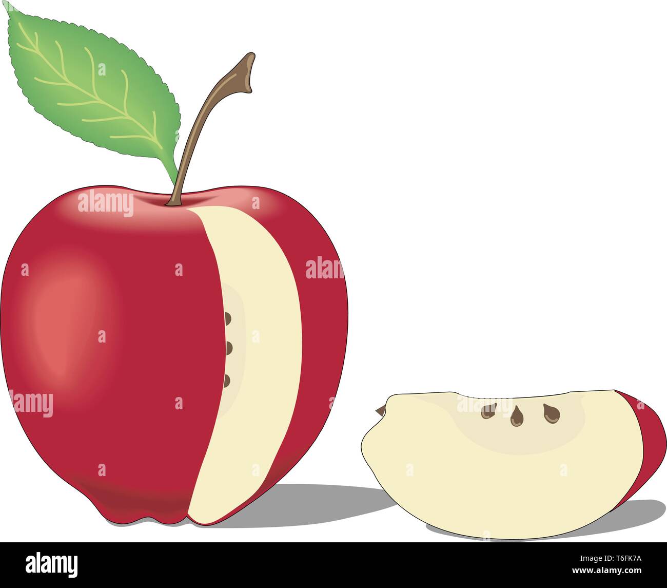Apple Slice Vector Illustration Stock Vector Image & Art - Alamy