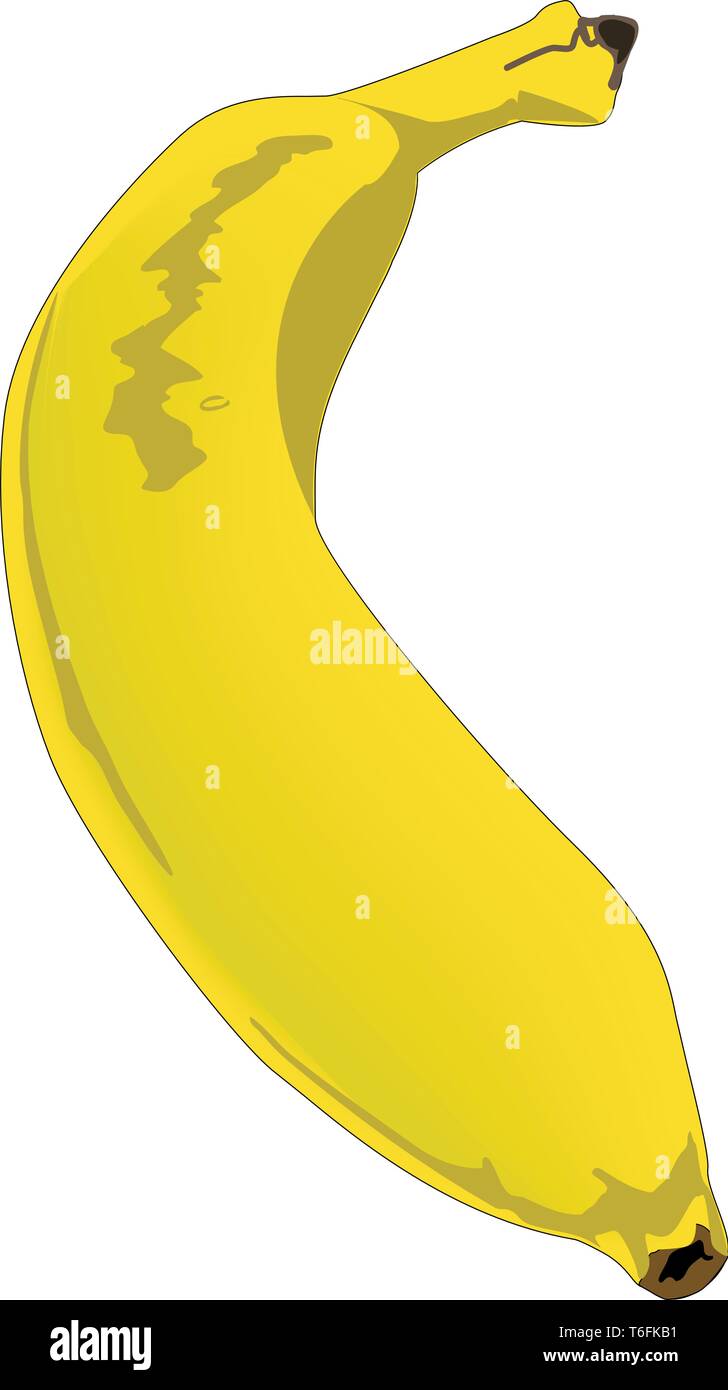 Banana Vector Illustration Stock Vector Image & Art - Alamy
