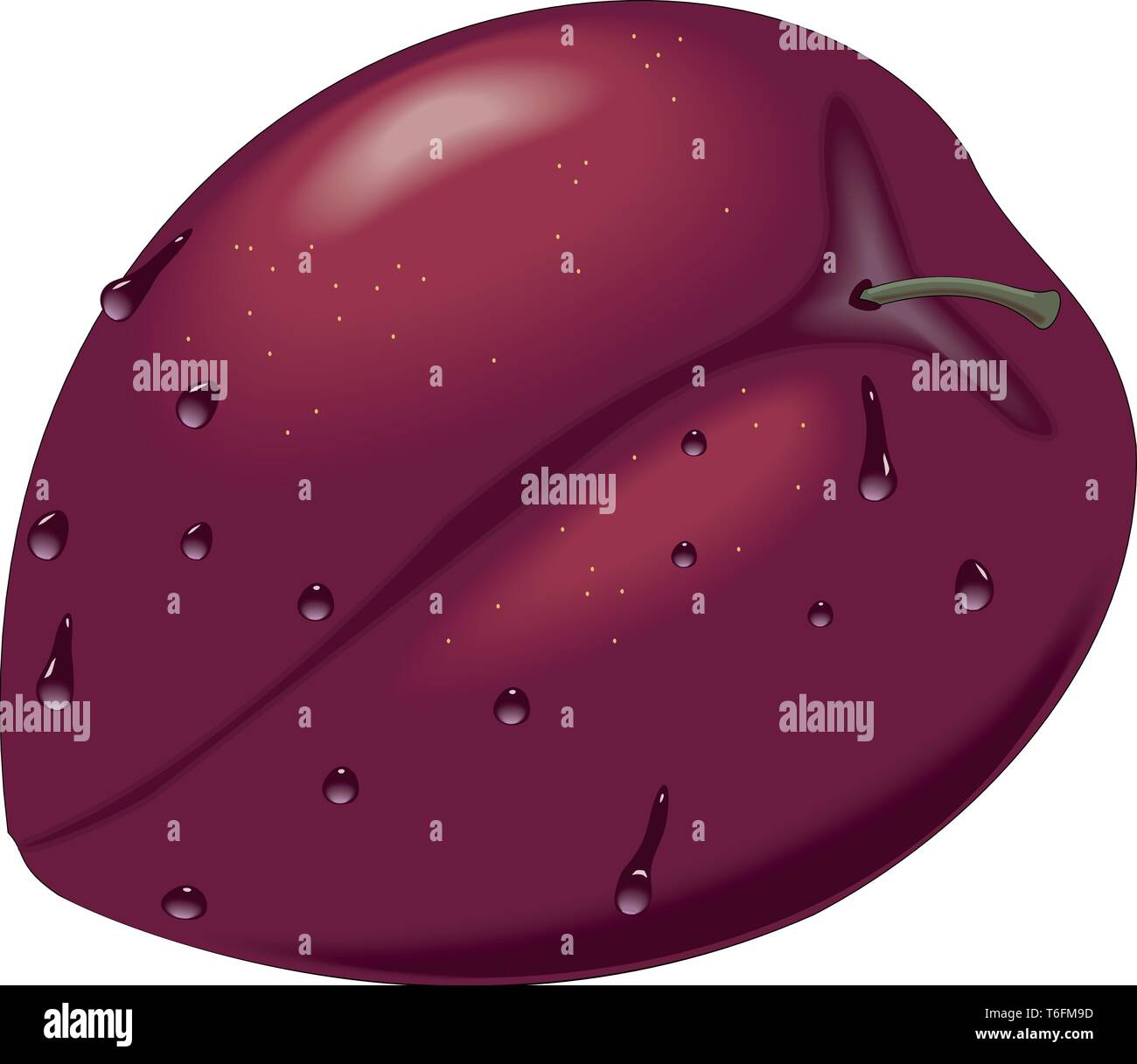 Plum Vector Illustration Stock Vector Image & Art - Alamy