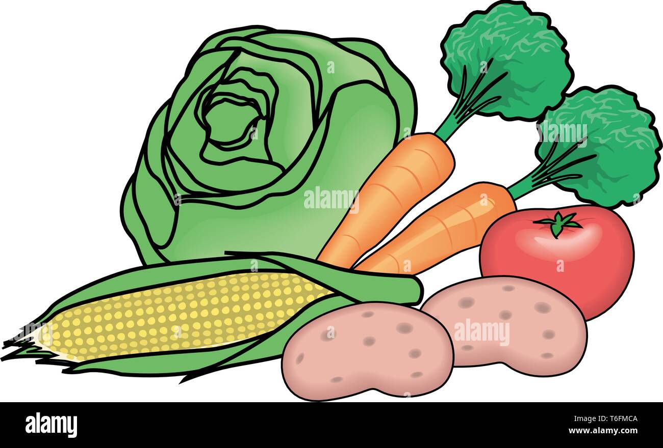Vegetable Food Group Vector Illustration Stock Vector Image & Art - Alamy