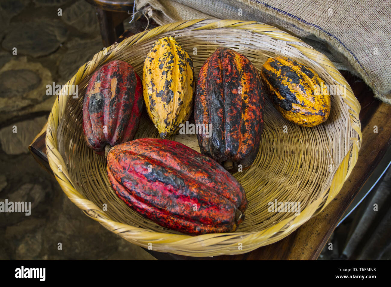 Cocoa pods leaves hi-res stock photography and images - Alamy