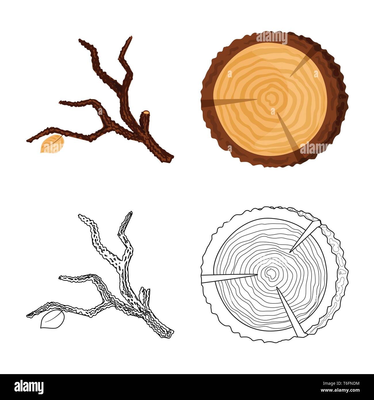 branch,deck,piece,timber,ring,waste,texture,firewood,bark,brown|,oak ...