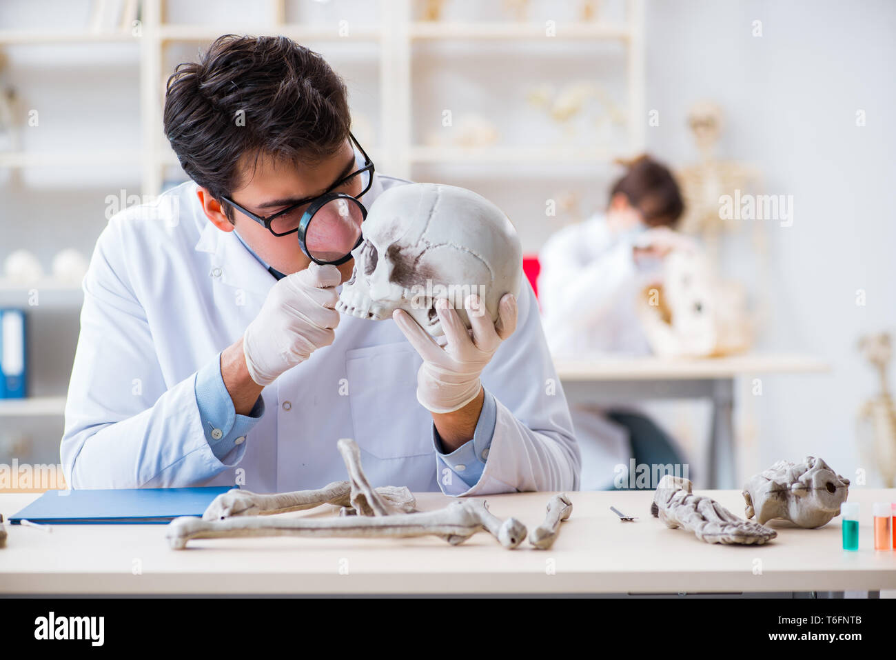 Professor studying human skeleton in lab Stock Photo - Alamy