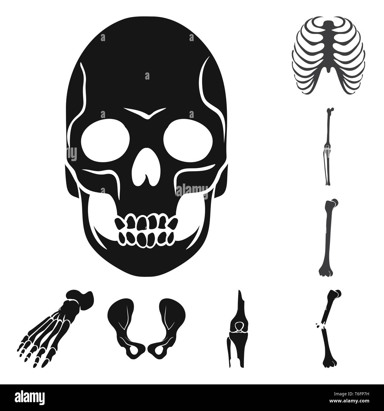 skull,rib,knee,foot,hip,femur,fracture,death,cage,joint,broken,ankle ...