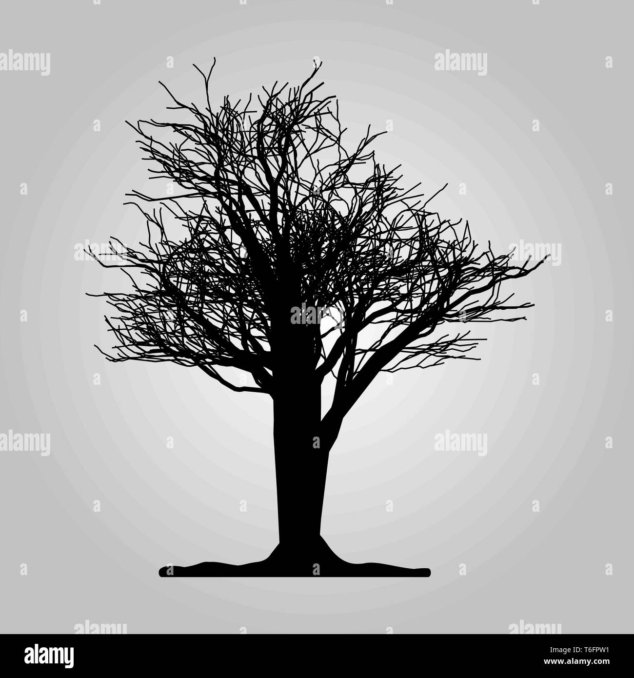 Tree icon. Forest symbol. Flat web sign on white background. Vector ...
