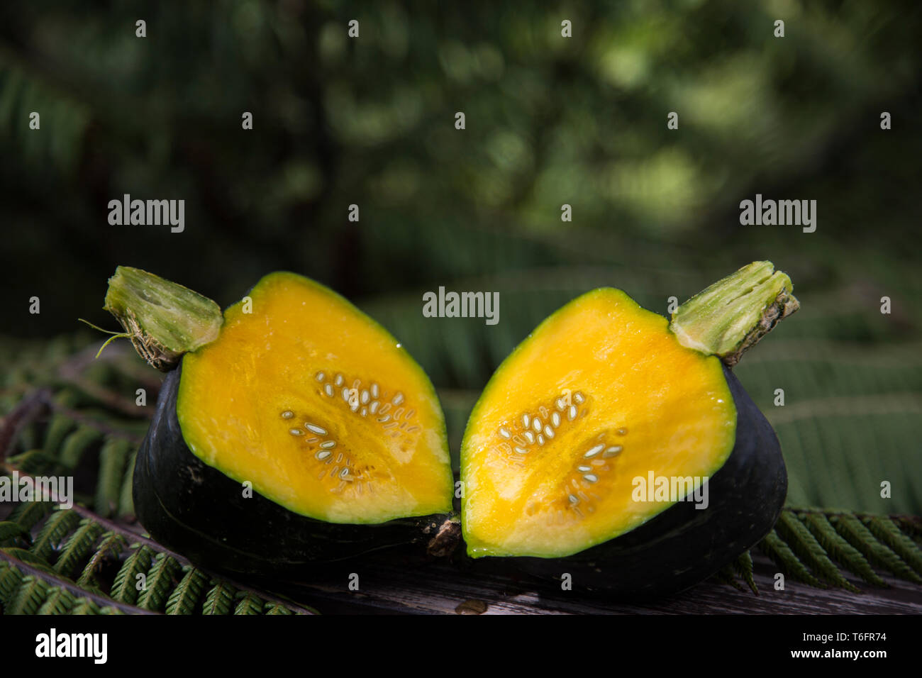 Close up view of homegrown buttercup squash cut open in half laying on ...