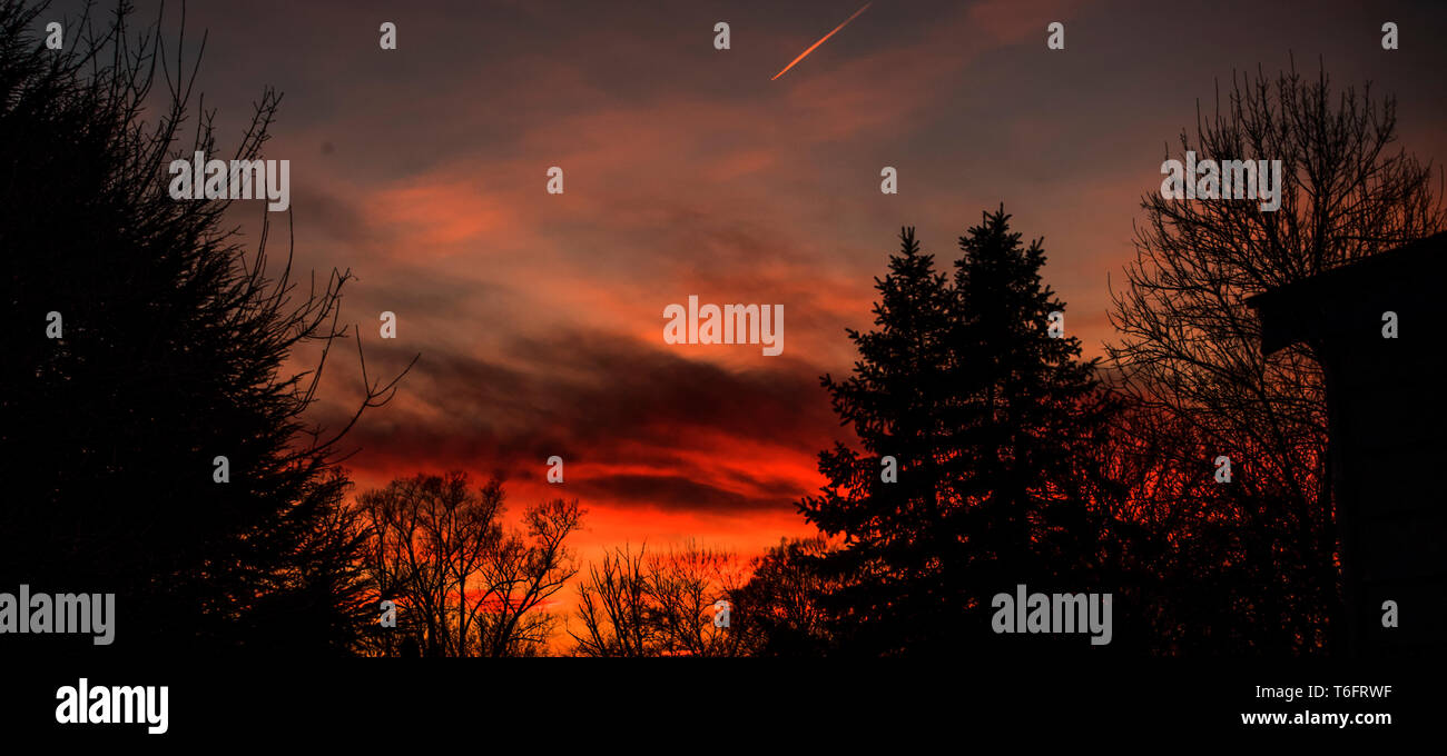 Fiery red sky at sunset surrounded by trees Stock Photo - Alamy
