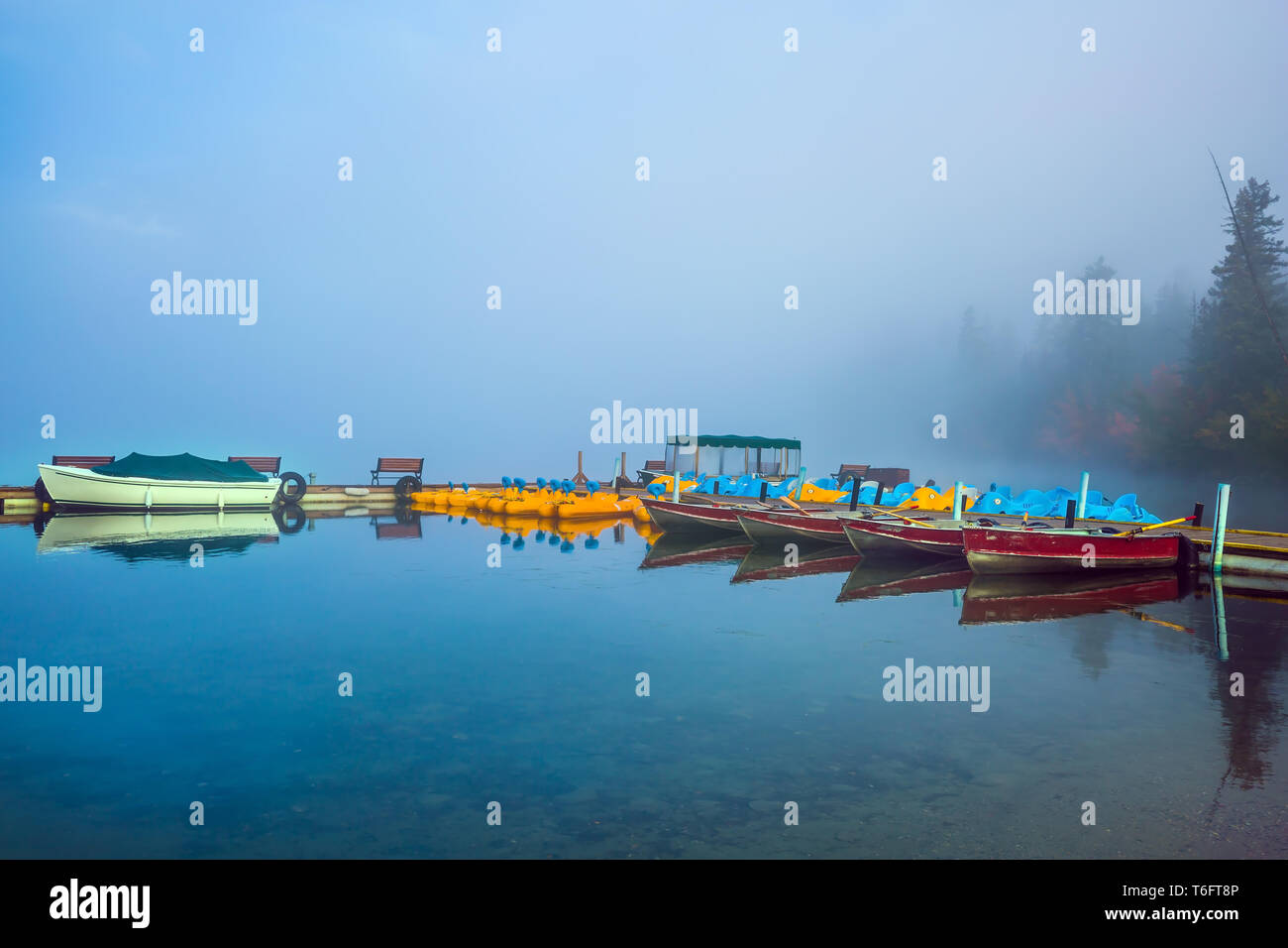 Boat station with motor boats Stock Photo - Alamy