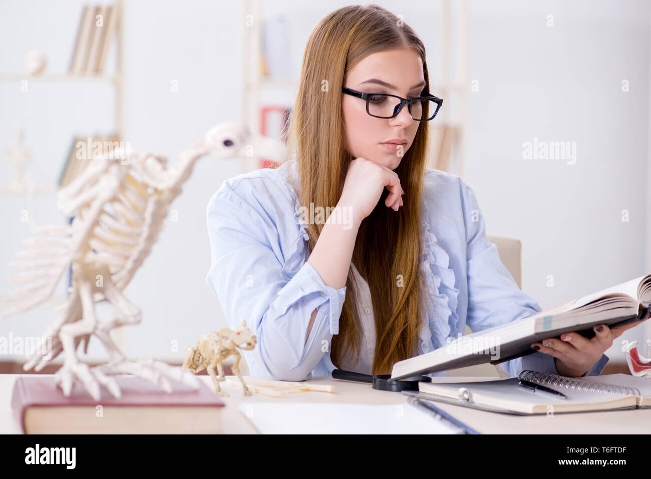 Student examining animal skeleton in classroom Stock Photo - Alamy