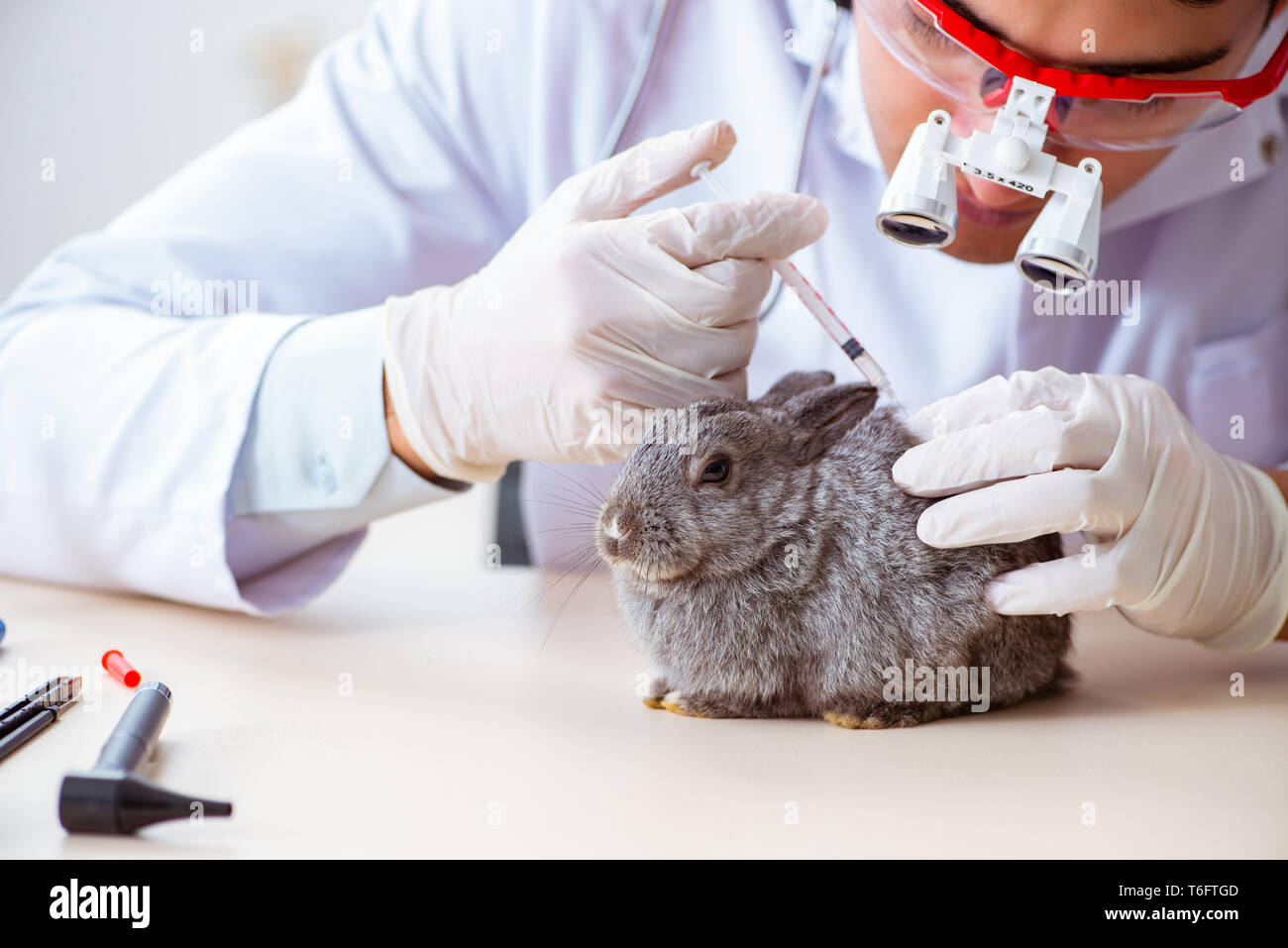 Injecting animals hi-res stock photography and images - Alamy