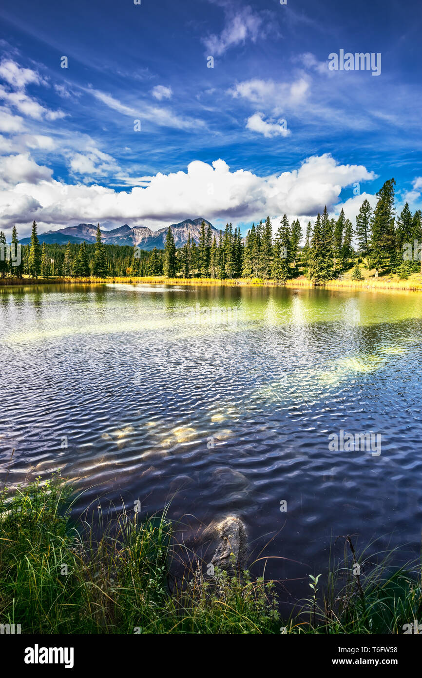 Beauty surrounded hi-res stock photography and images - Alamy